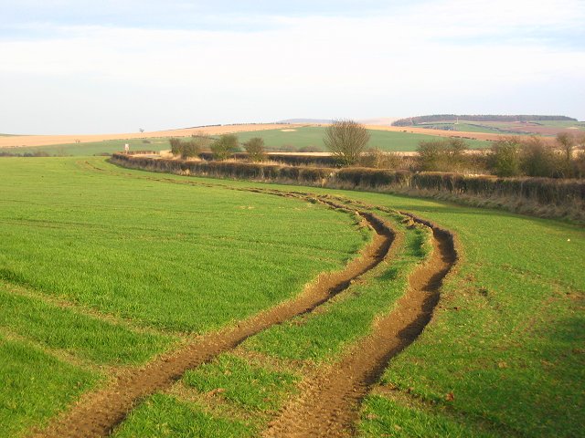 Ruts Are Habits With More Polite Labels (307) - GROW GREAT